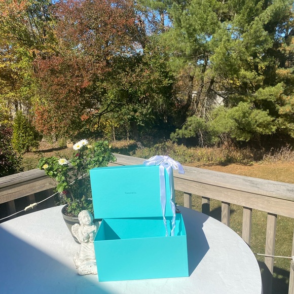 Tiffany & Co. | Other | Tiffany Co Rectangle Box And White Ribbon ...